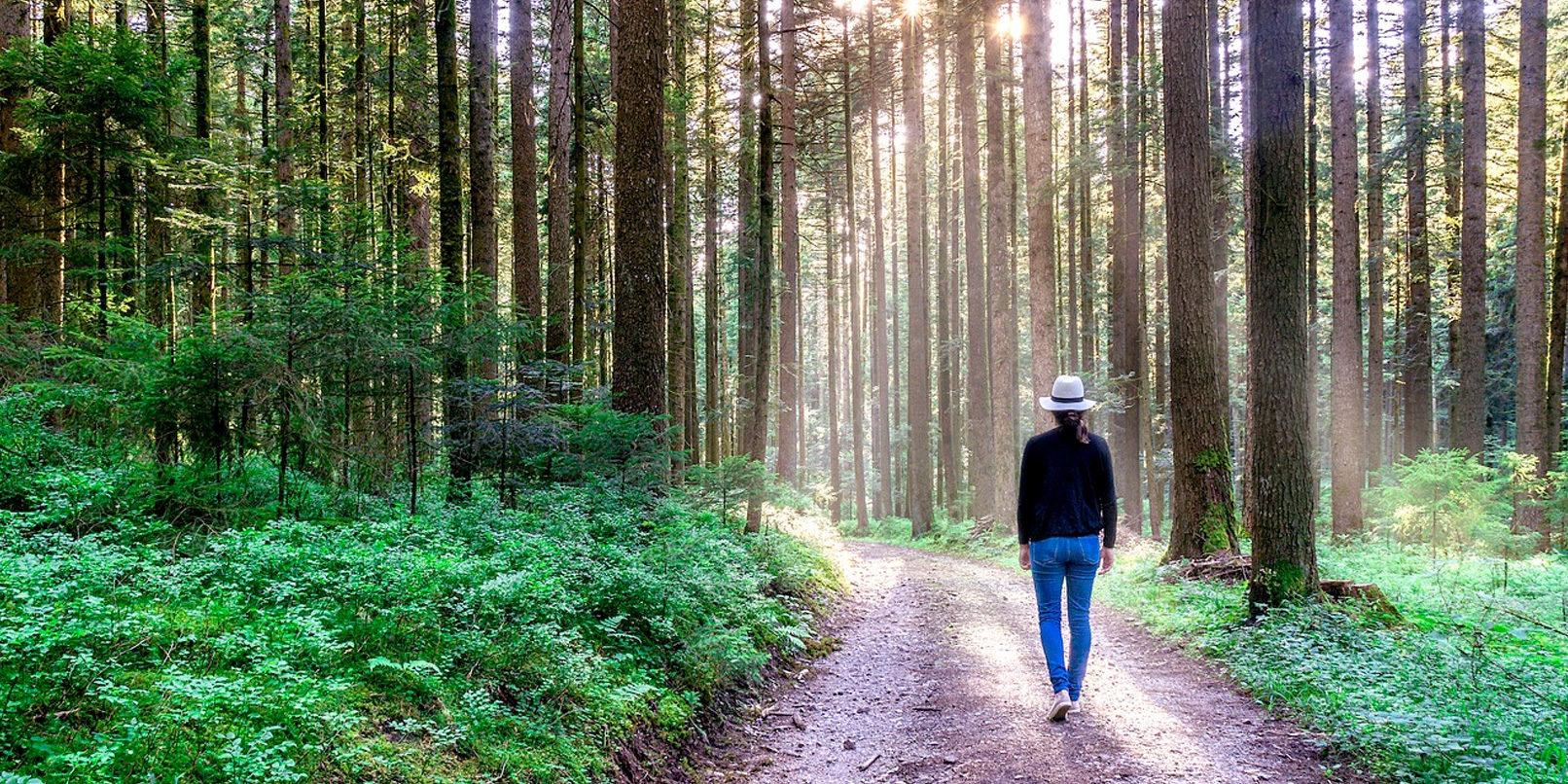 Chacun a son chemin pour aller à Dieu ! - Puissance Vie
